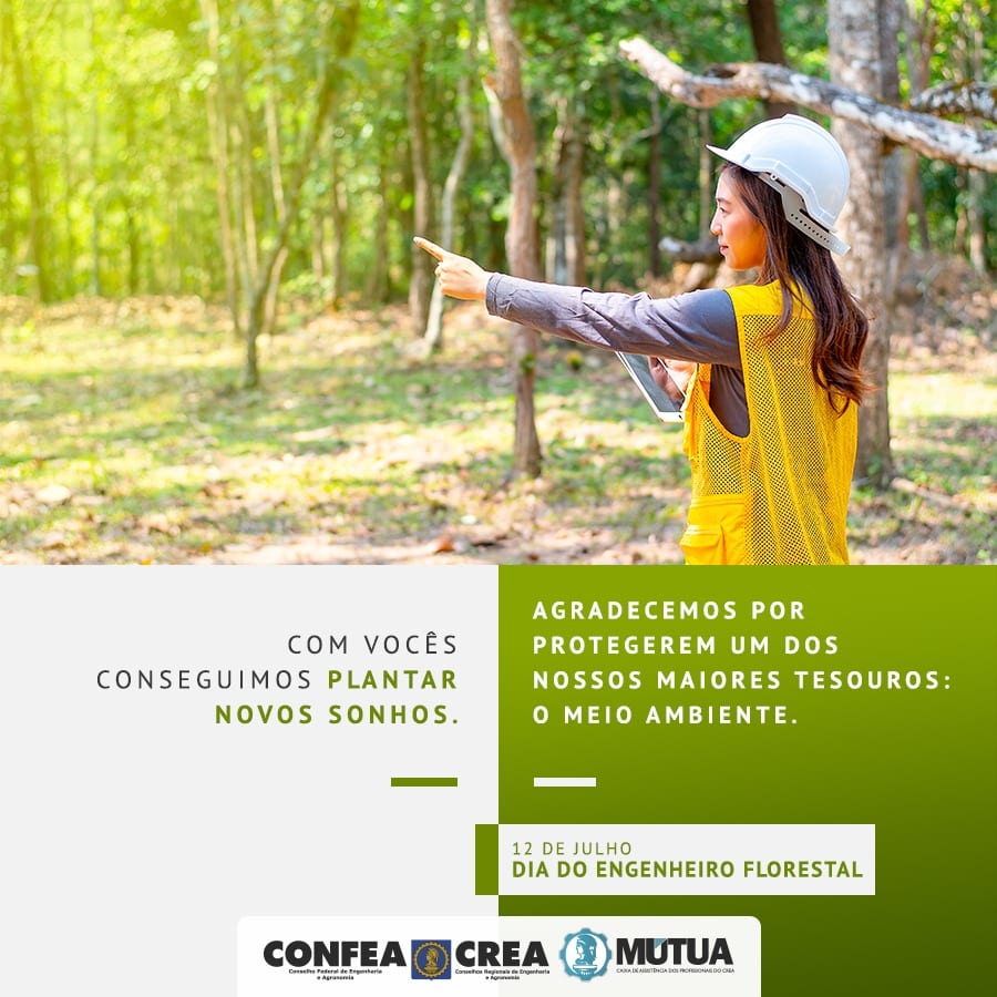 12 de julho: Dia do Engenheiro Florestal. Parabéns aos (às ...
